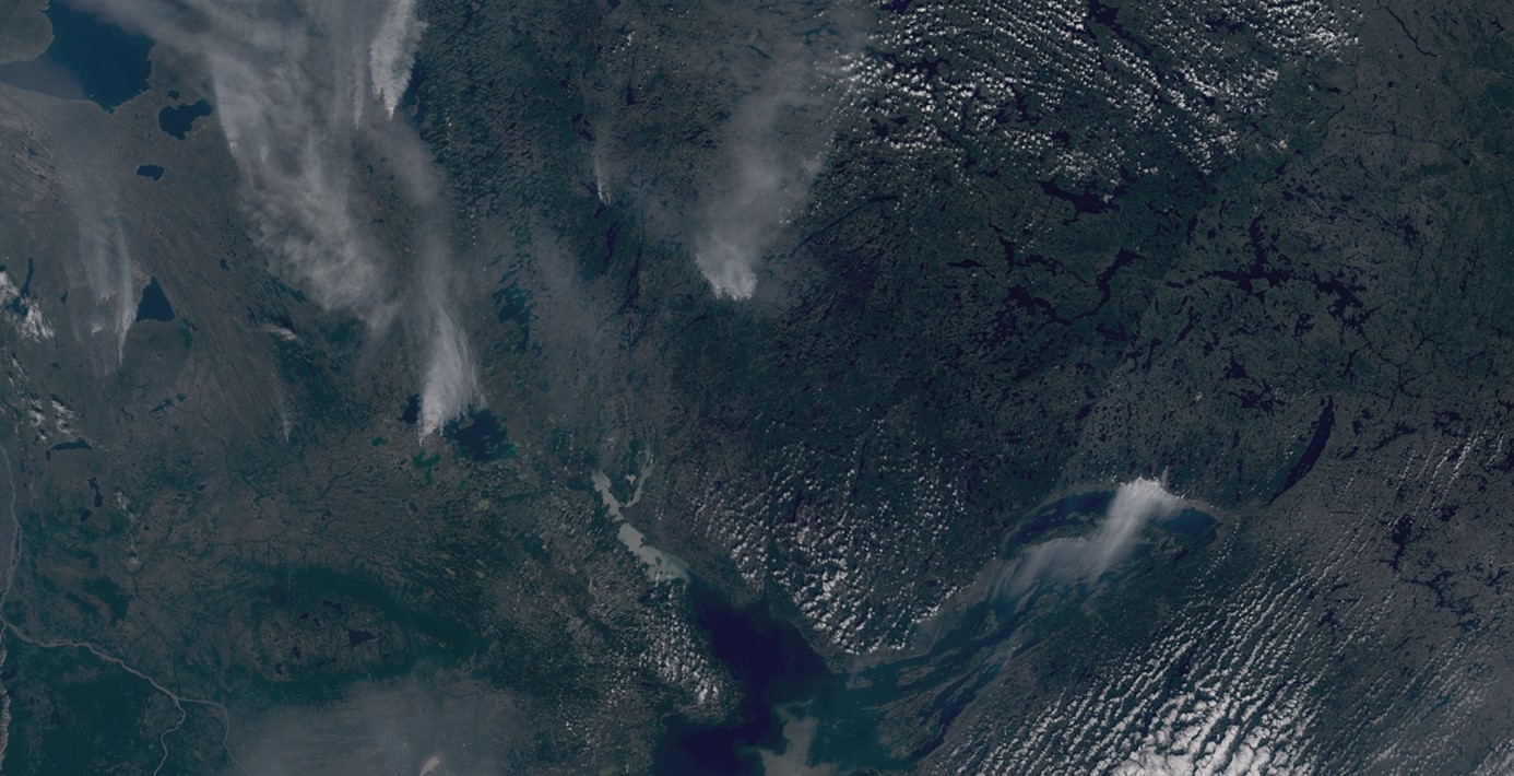 Future Focus — Wildfires User Workshop | EUMETSAT